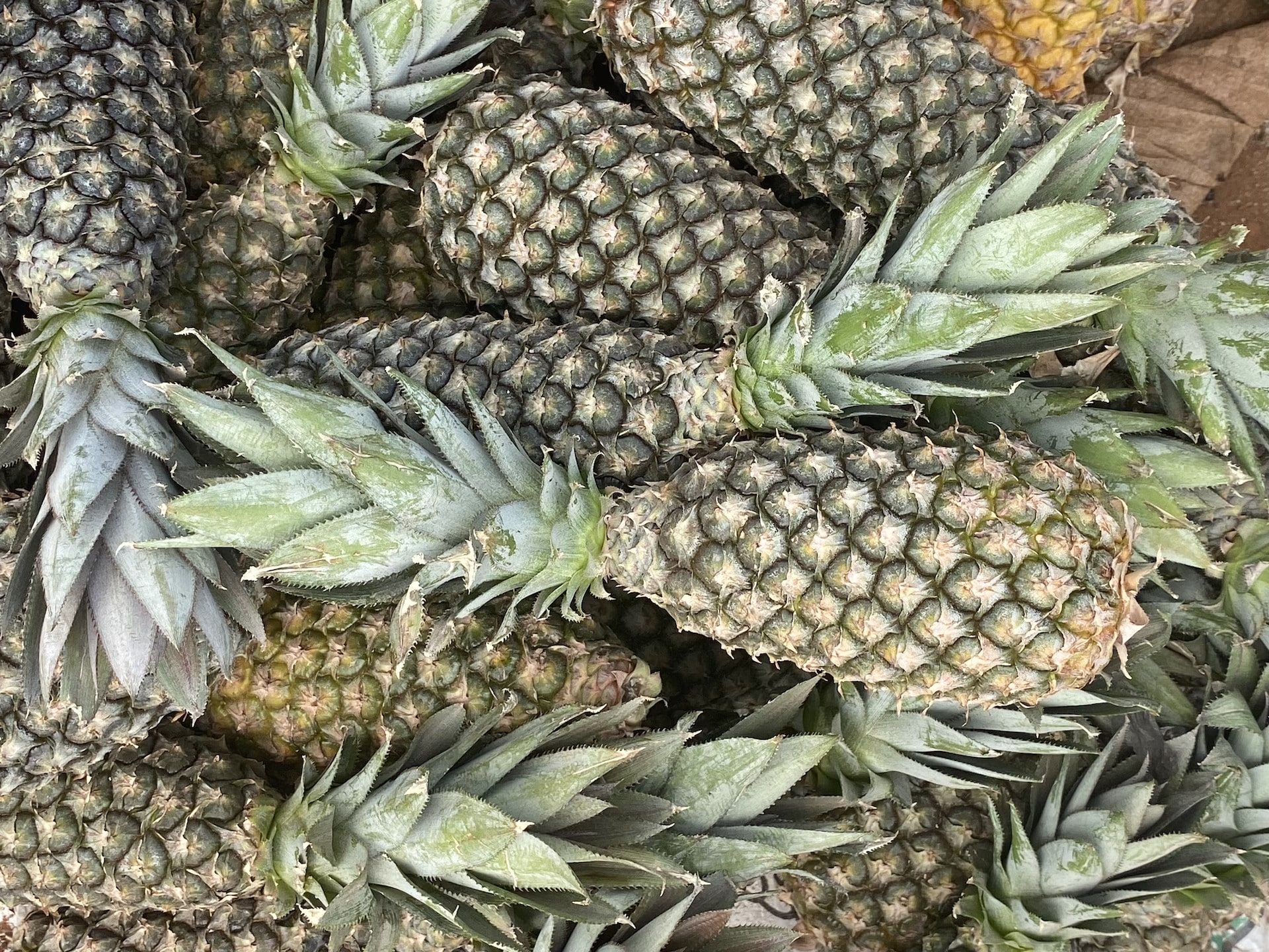 Bénin : Où manger, où sortir - Wa Africa