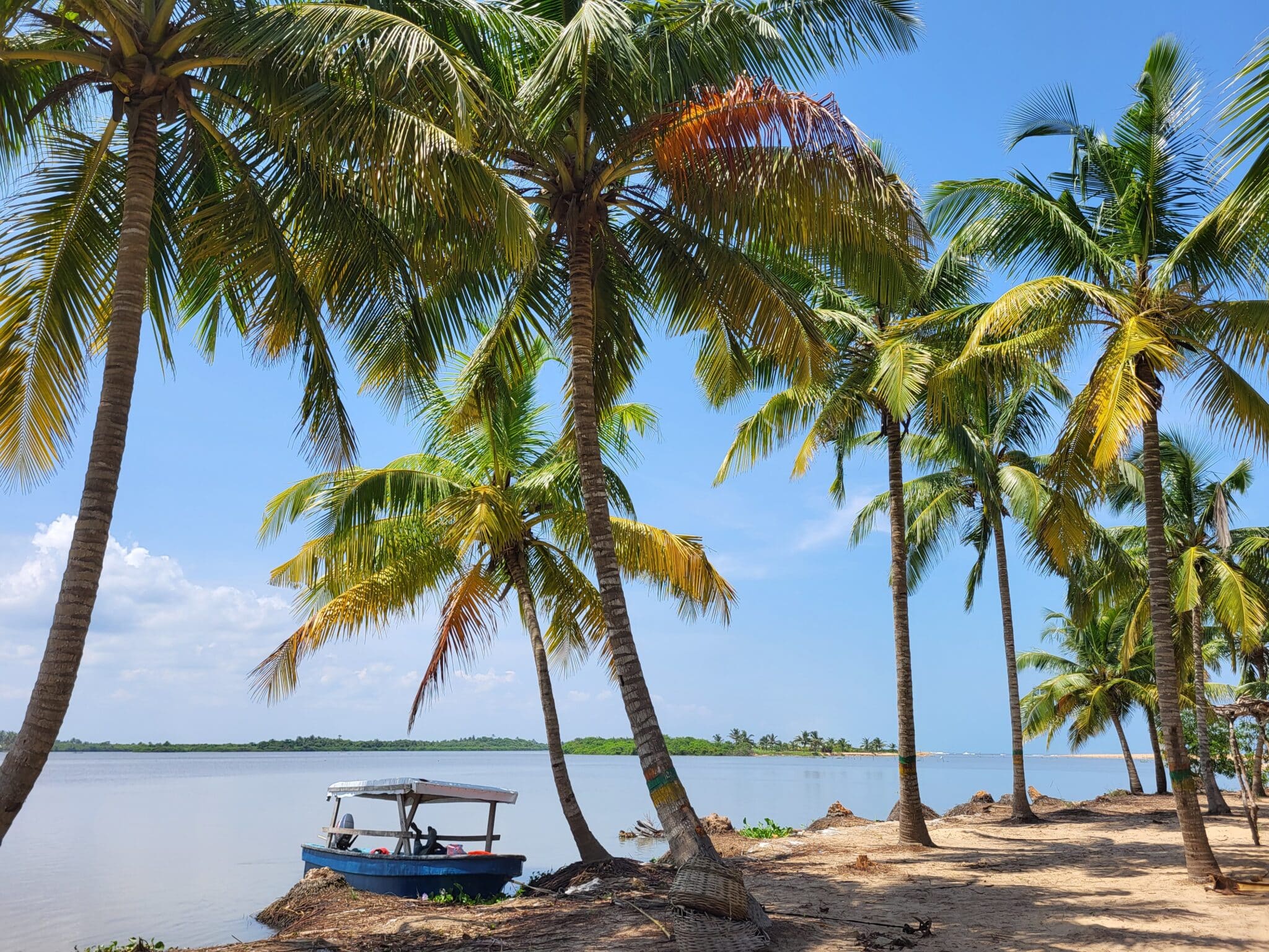Visiter Ouidah au Bénin : que faire et que voir absolument