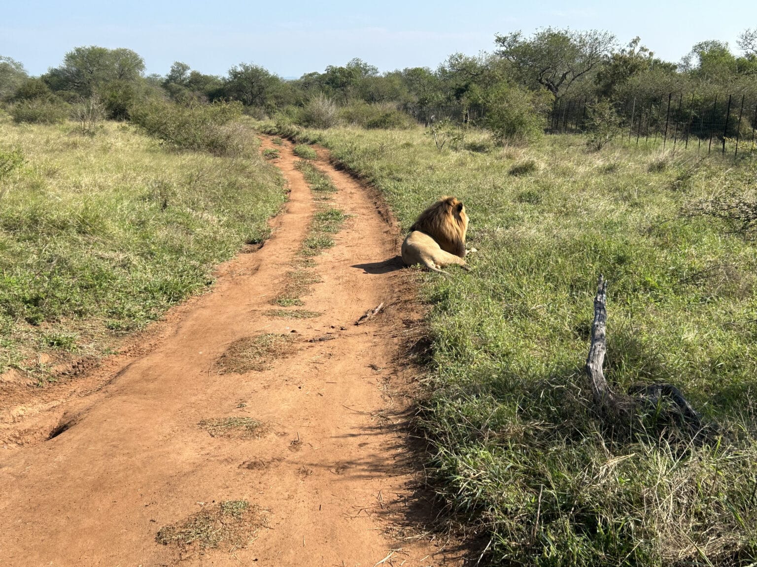 Voyage en Afrique authentique & sur mesure | Wa Africa