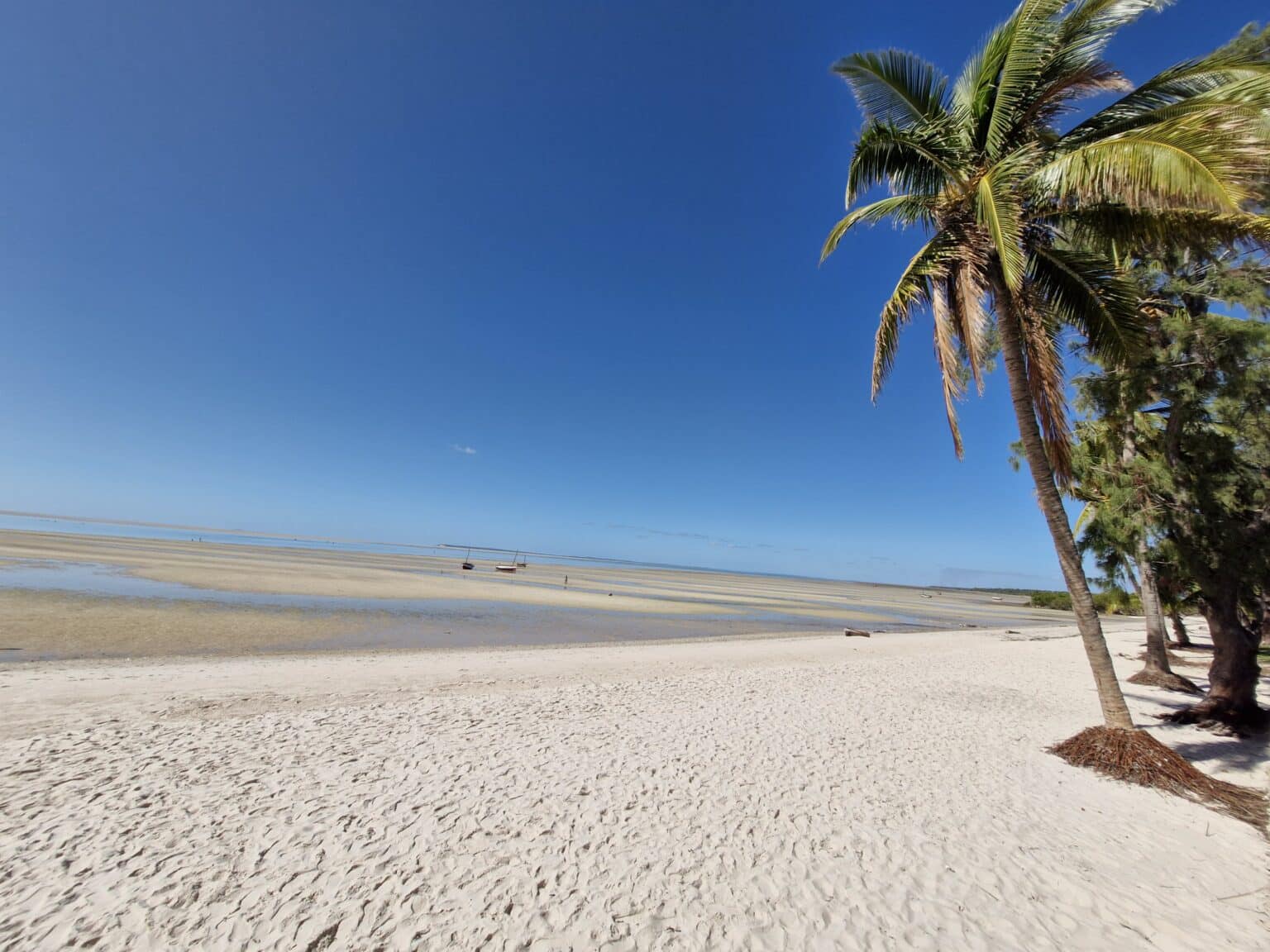 Ouidah au Bénin : explorer son histoire, sa culture et son patrimoine