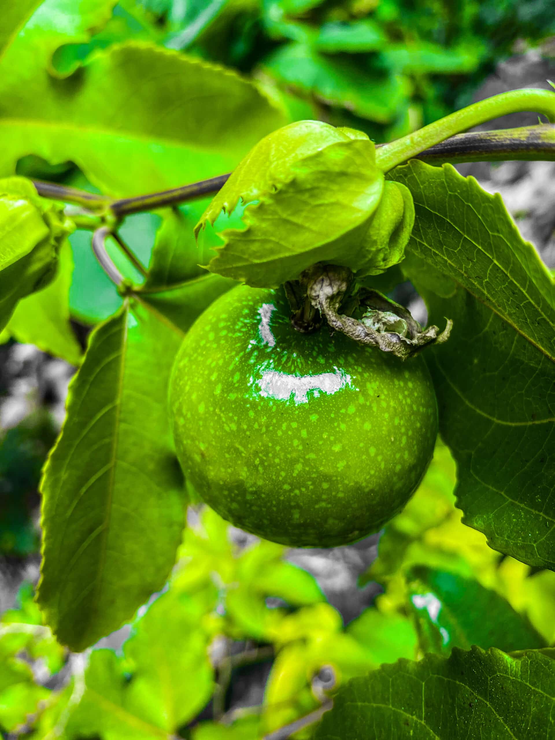 Que faire au Cap-Vert : guide des activités