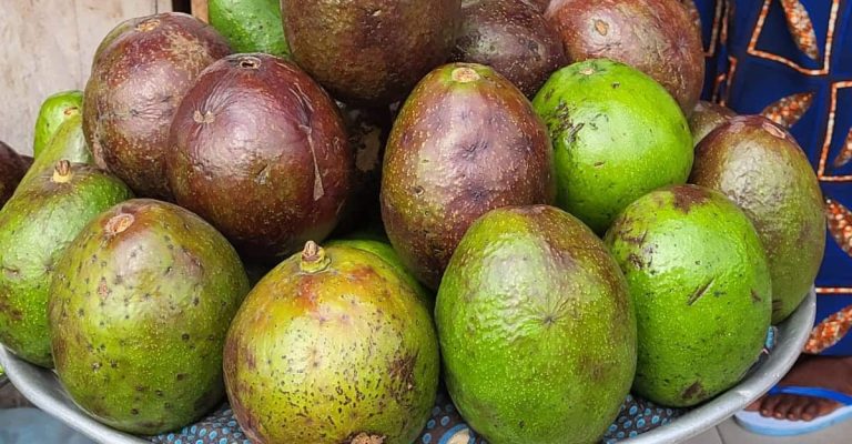 Le top des meilleures expériences béninoises - WAAFRICA